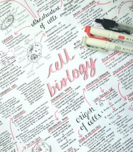 6 Tips to Pass BIO 106 at CSUN - OneClass Blog