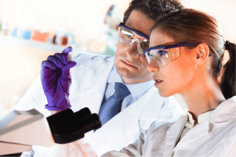 Jobs and Opportunities for Students at Stanford University - OneClass Blog