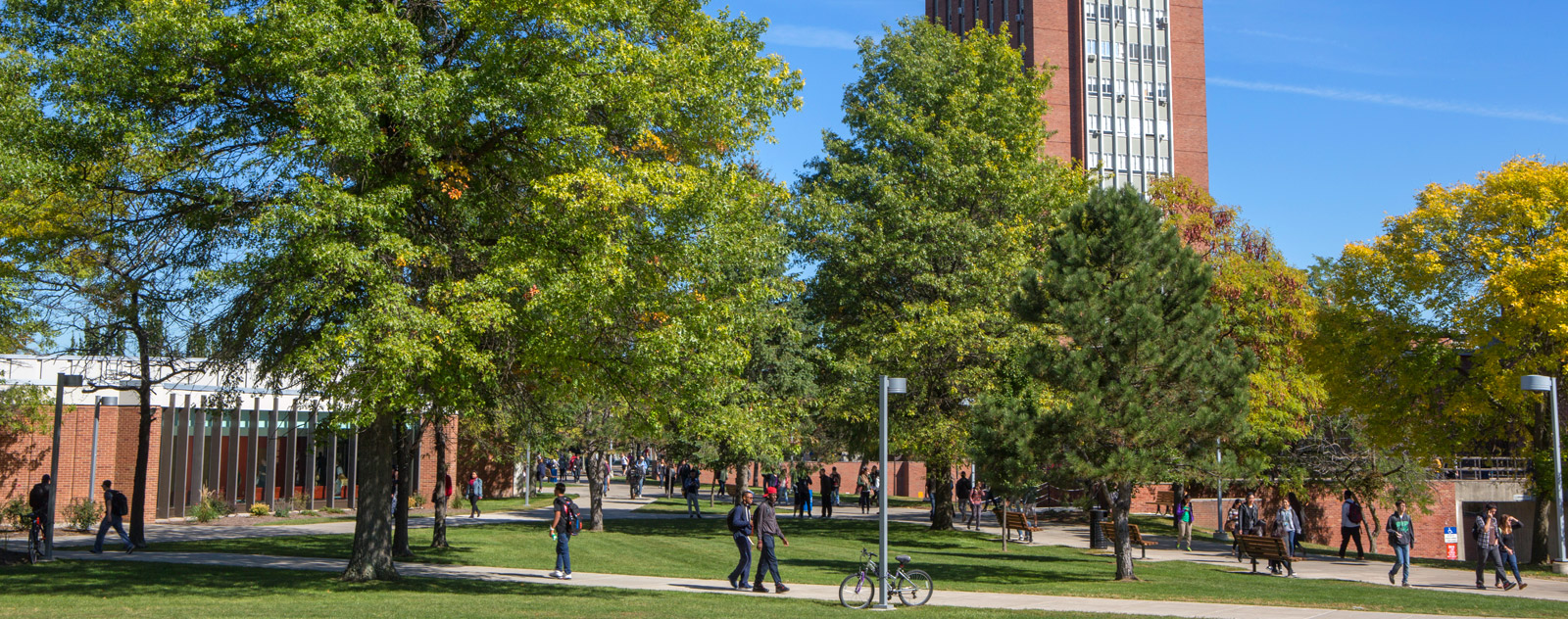 Top 10 Dorms At Binghamton University Oneclass Blog